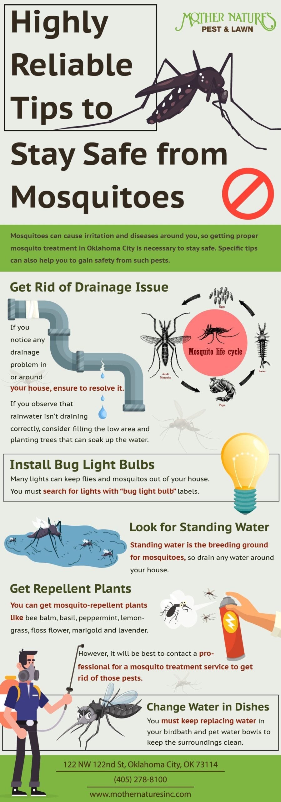 Highly Reliable Tips to Stay Safe from Mosquitoes - Infographic ...