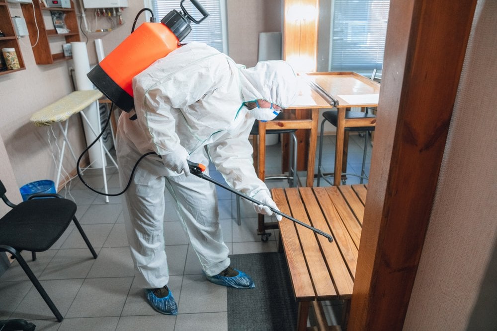 Do You Know How Pests Affect Your Health and Property? - Mother Nature ...